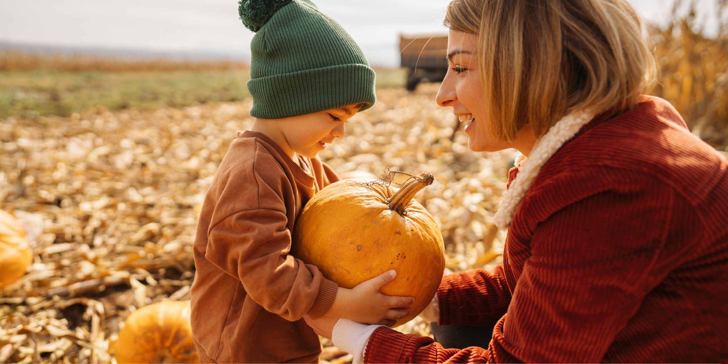 SGI - Saskatchewan driver's licensing and vehicle registration
